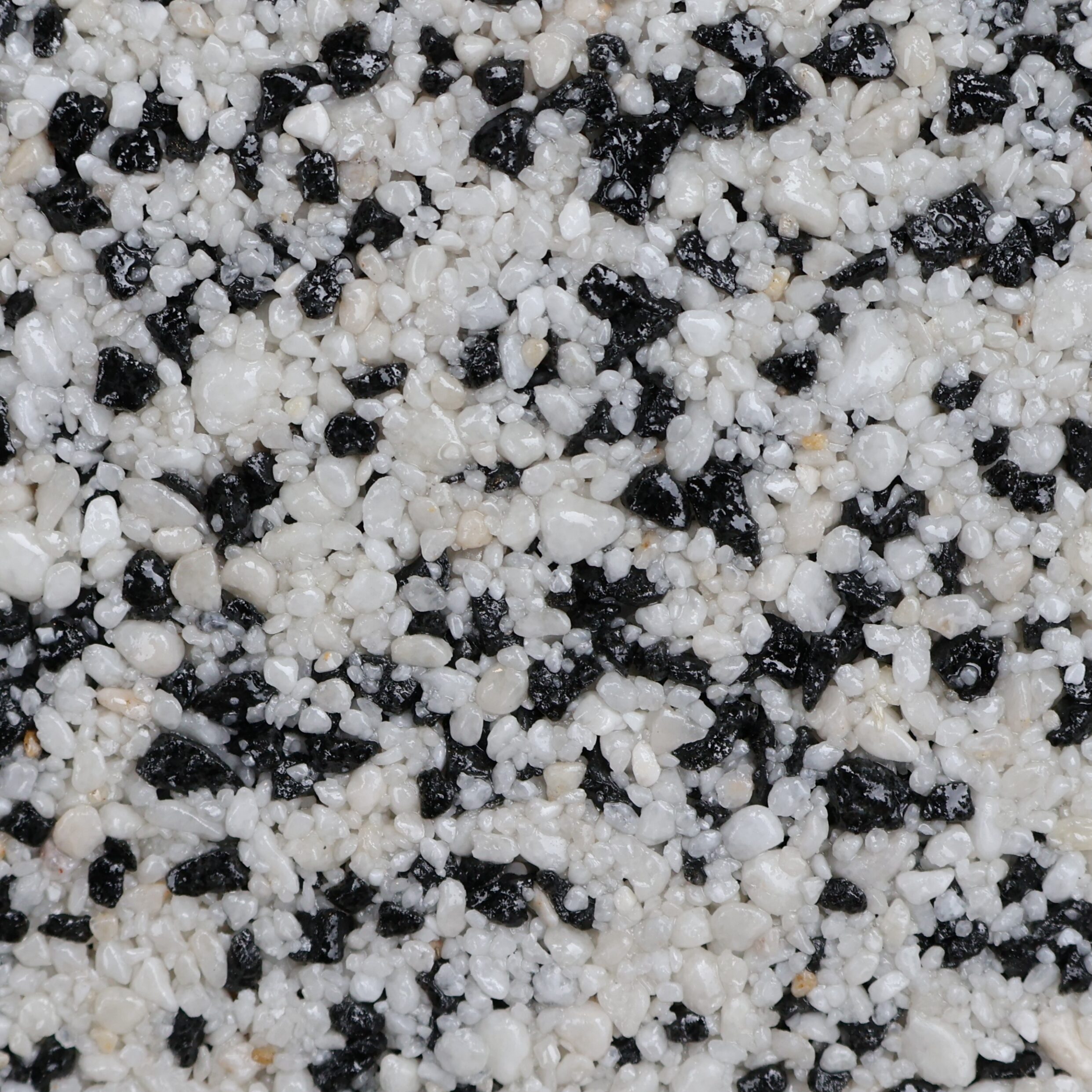 Antarctica Bespoke Blend - Ox Resin